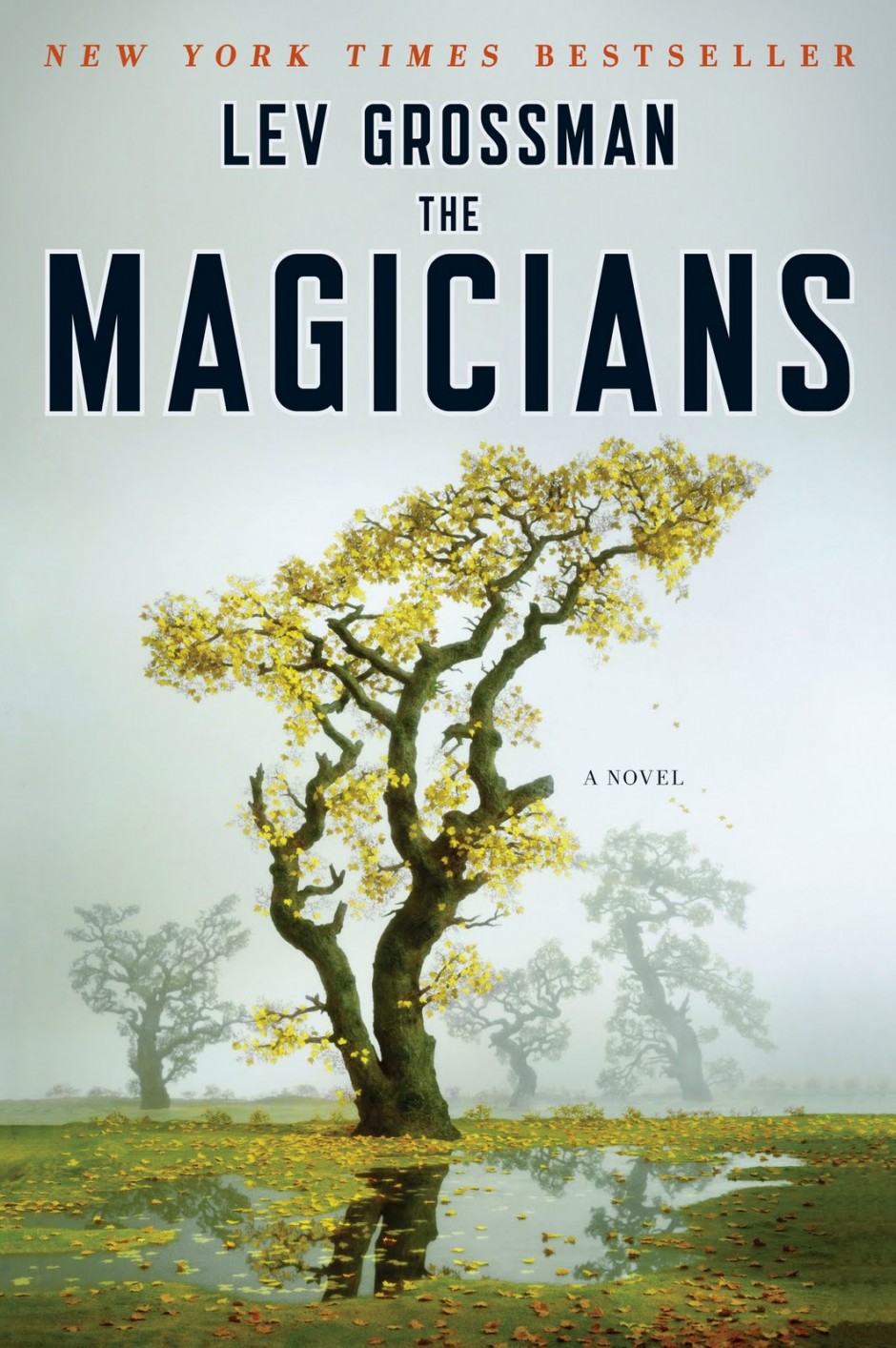 Book Review: The Magicians by Lev Grossman – John the Librarian